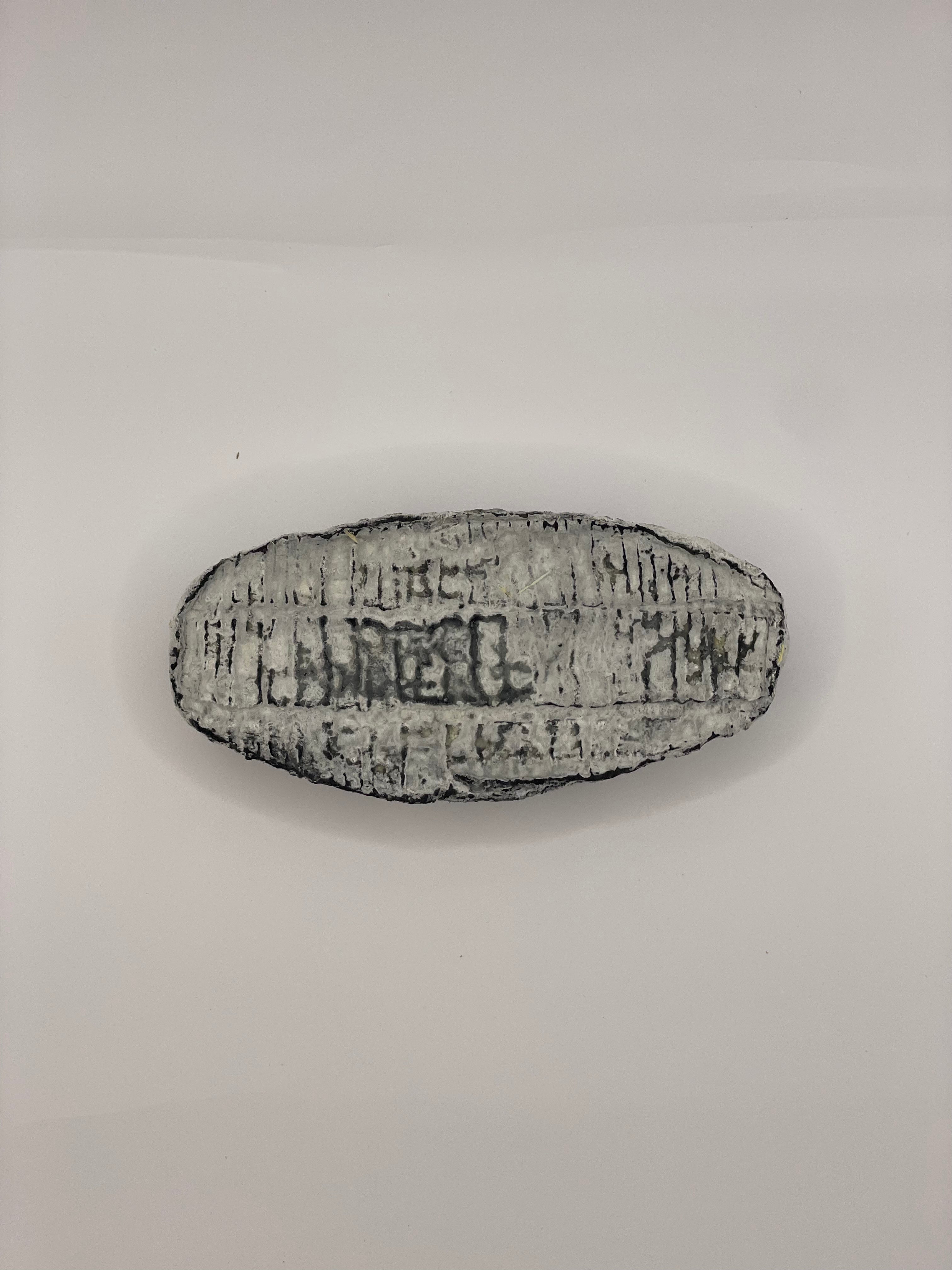 Delice des deux Sevres “Poitou Chèvre” - KS Fromagerie